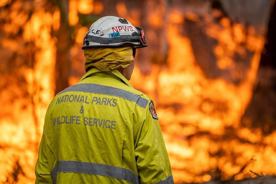 圖解世界經濟論壇風險報告：前五名都和氣候危機有關 | 環境資訊中心